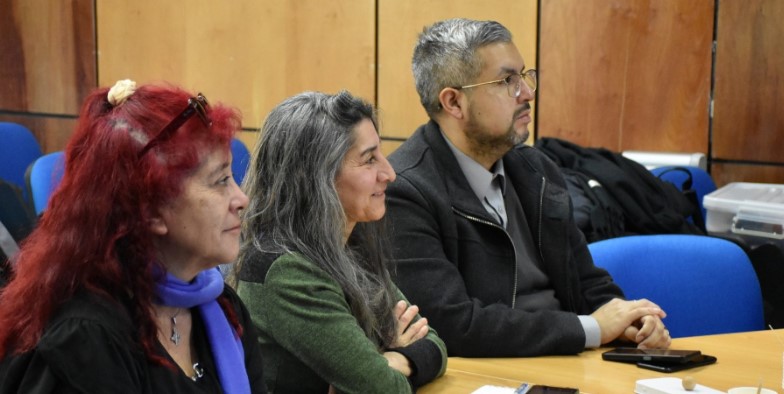 Seremi de Salud y agrupaciones de Magallanes abordan avances y desafíos ...